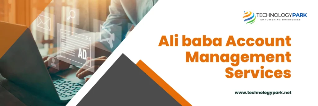 Alibaba Account Management Services - Information Technology Park