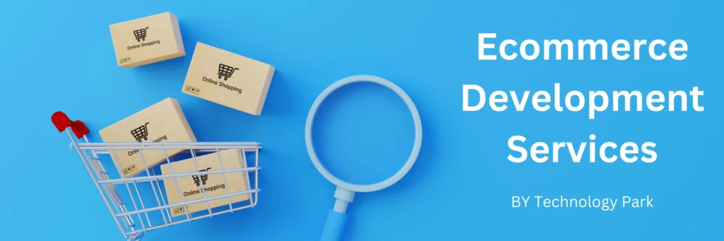 Ecommerce Development Services - Information Technology Park
